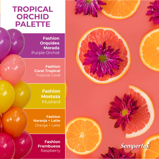 Sempertex – Recursos de Marketing